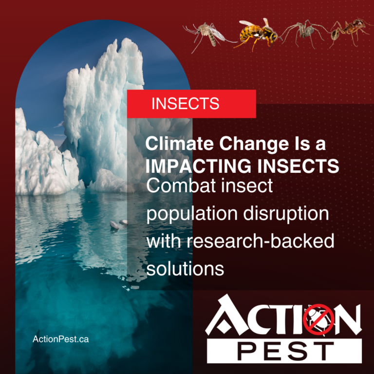 Climate change is impacting pest species - Action Pest Control Services